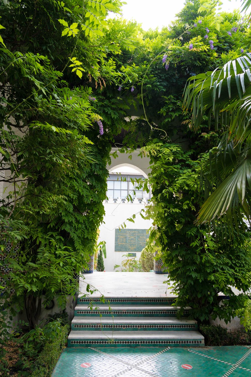 How to Visit the Grand Mosque of Paris | Away With Meredith